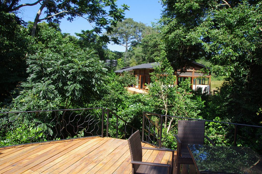 Visit Mabamba Wetland and Nkima Eco Lodge | Uganda Tours